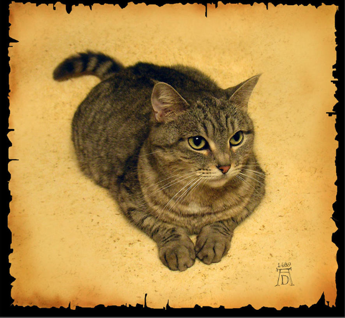 Pangur Bán – A Cairn of Poems